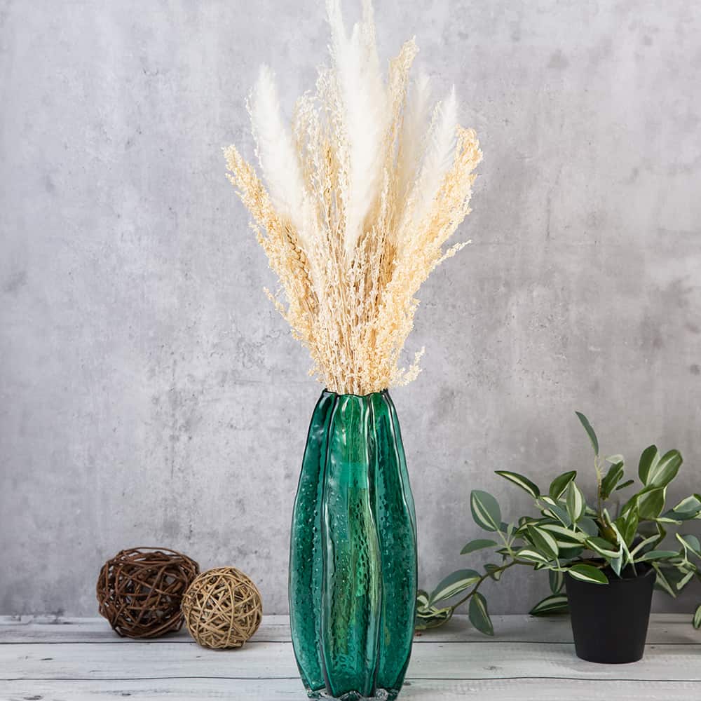 Large Glass Vase - Window to Nature | S-gifts.com